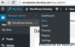 Configure | WordPress Multisite | Pantheon Docs