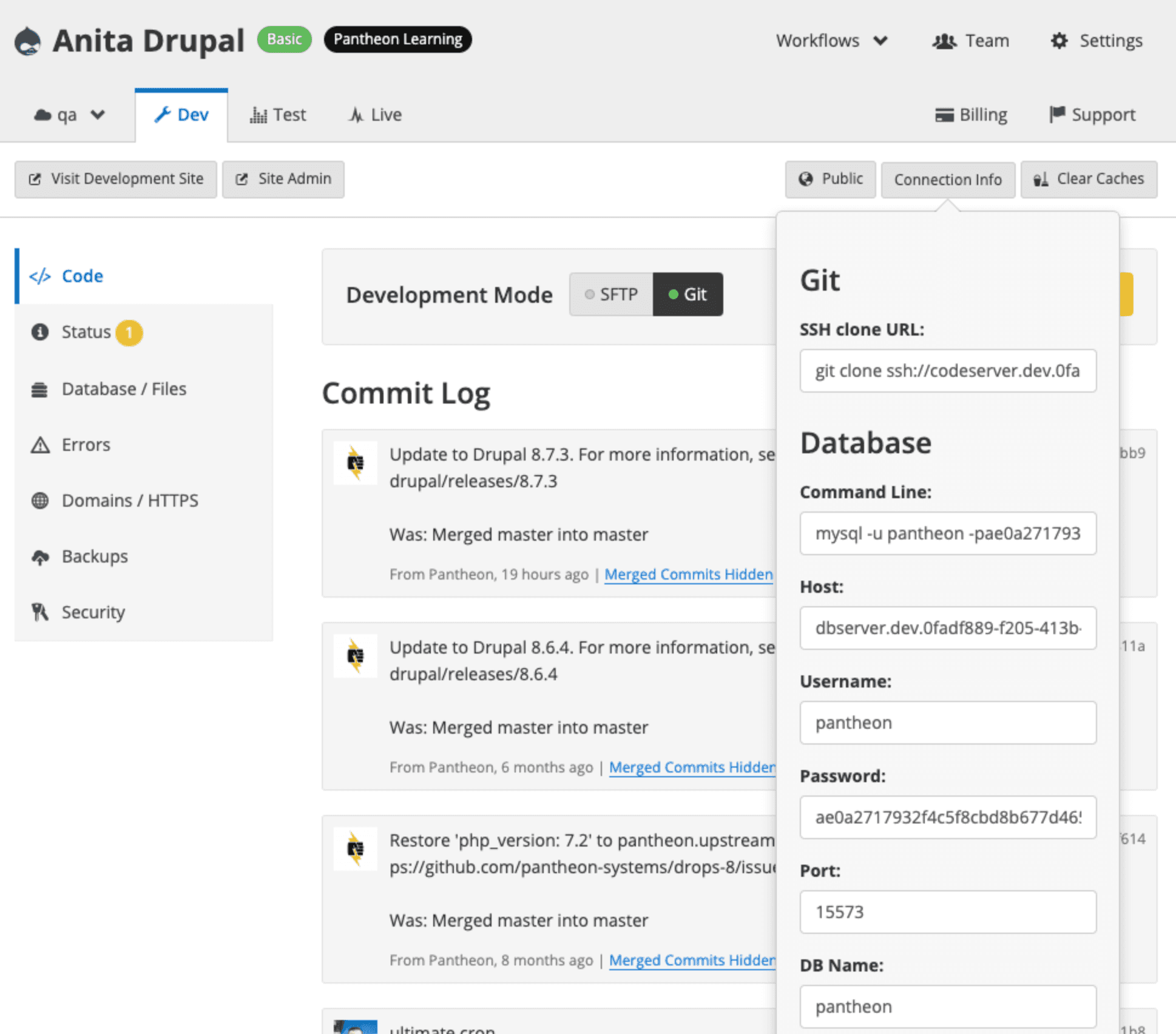 Access MariaDB and MySQL Databases | MariaDB and MySQL on Pantheon | Pantheon Docs
