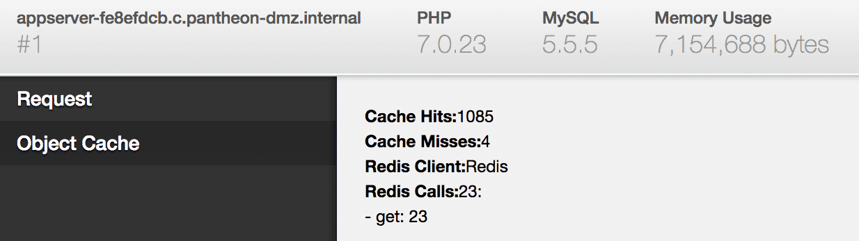 Diagnostic Tools | Frontend Performance | Pantheon Docs