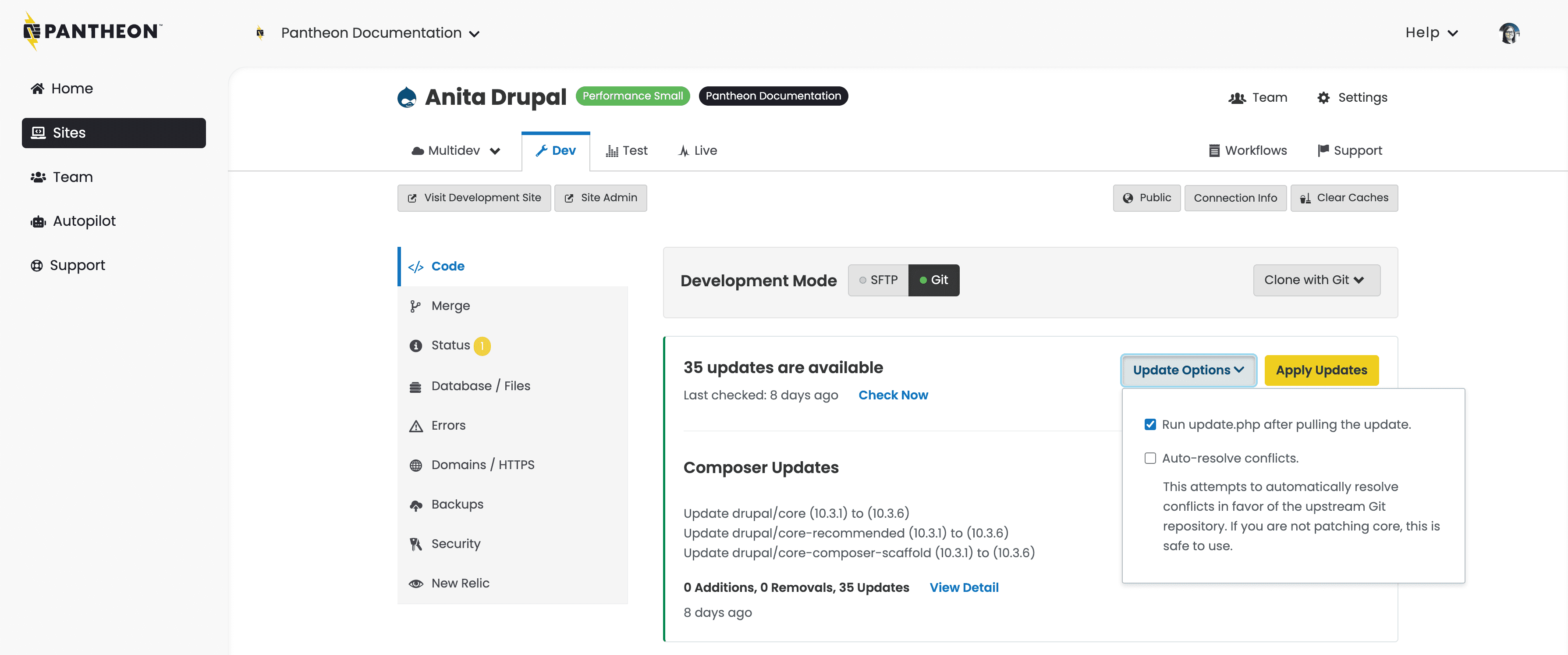 WordPress and Drupal Core Updates | Pantheon Docs