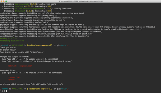Manage Some Dependencies with Composer | Pantheon Docs