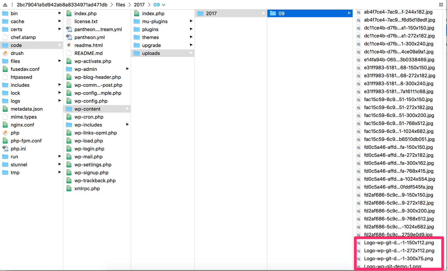 Upload Media | Using Git with SFTP & WordPress | Pantheon Docs