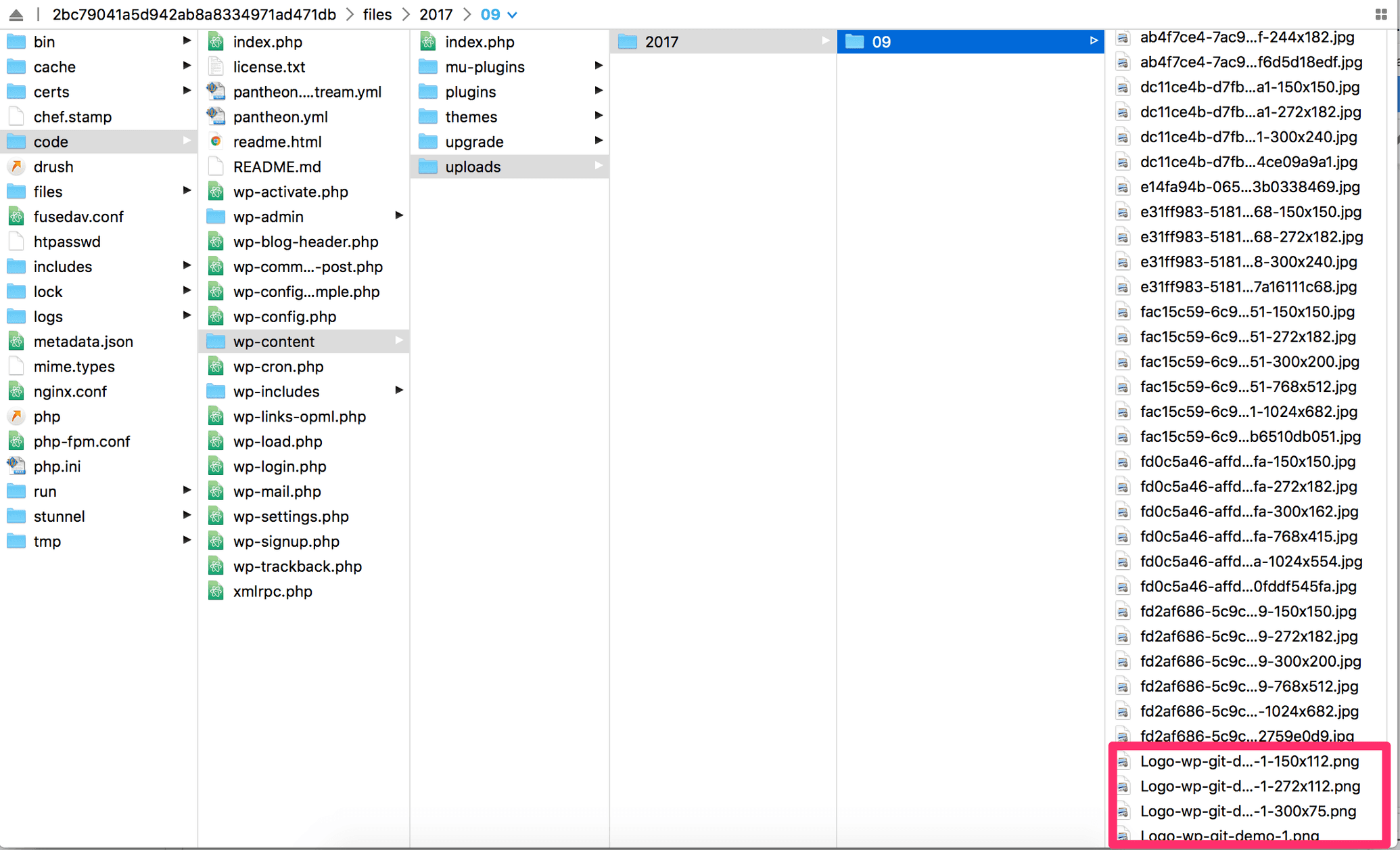 Upload Media | Using Git with SFTP & WordPress | Pantheon Docs