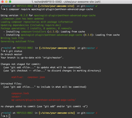 Manage Some Dependencies with Composer | Pantheon Docs