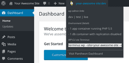 Pantheon WordPress Plugins | WordPress on Pantheon Quick Start Guide | Pantheon Docs